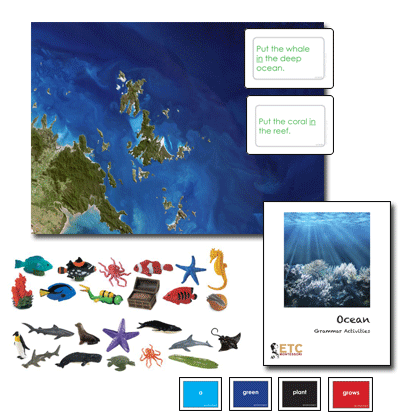 Ocean grammar cards with vinyl mat and 24 objects - Think Education ...