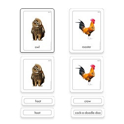 Animals and Their Sounds - 3 Part Cards - Think Education Supplies