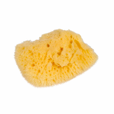Small Natural Sponge - Think Education Supplies