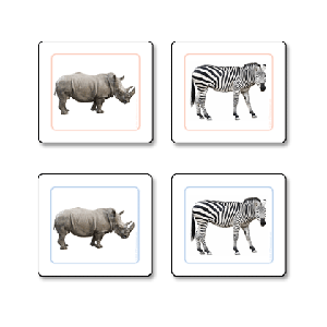 African Animals - Matching Cards - Think Education Supplies