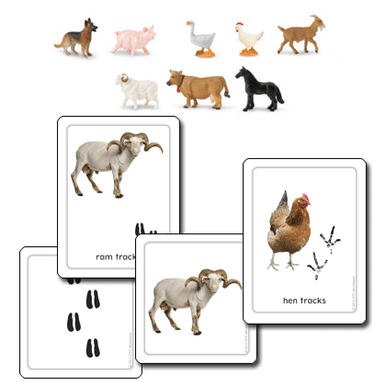 Farm Animal Tracks - 3 Part Cards - Think Education Supplies