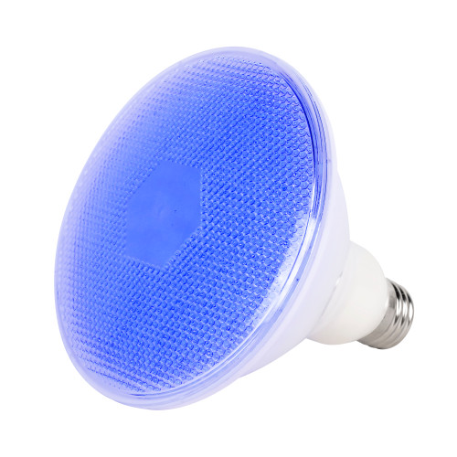 PAR 38 Dimmable Replacement Bulb | Holiday LEDS