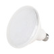 PAR 38 Dimmable Replacement Bulb | Holiday LEDS