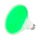 PAR 38 Dimmable Replacement Bulb | Holiday LEDS