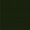 Ford W6, Green Gem Metallic
