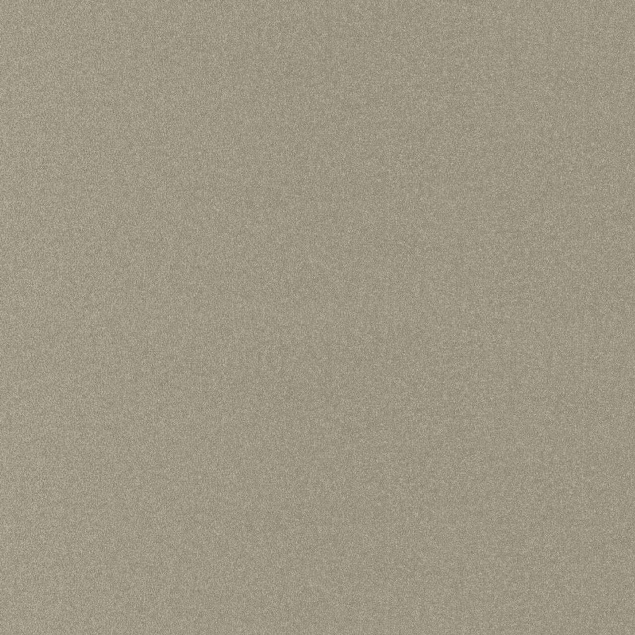 GM WA102V, Champagne Silver Metallic