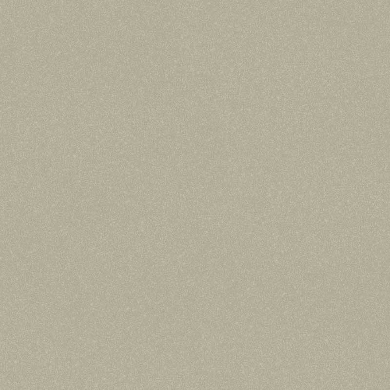 AUDI LL1X, Vikunja Beige