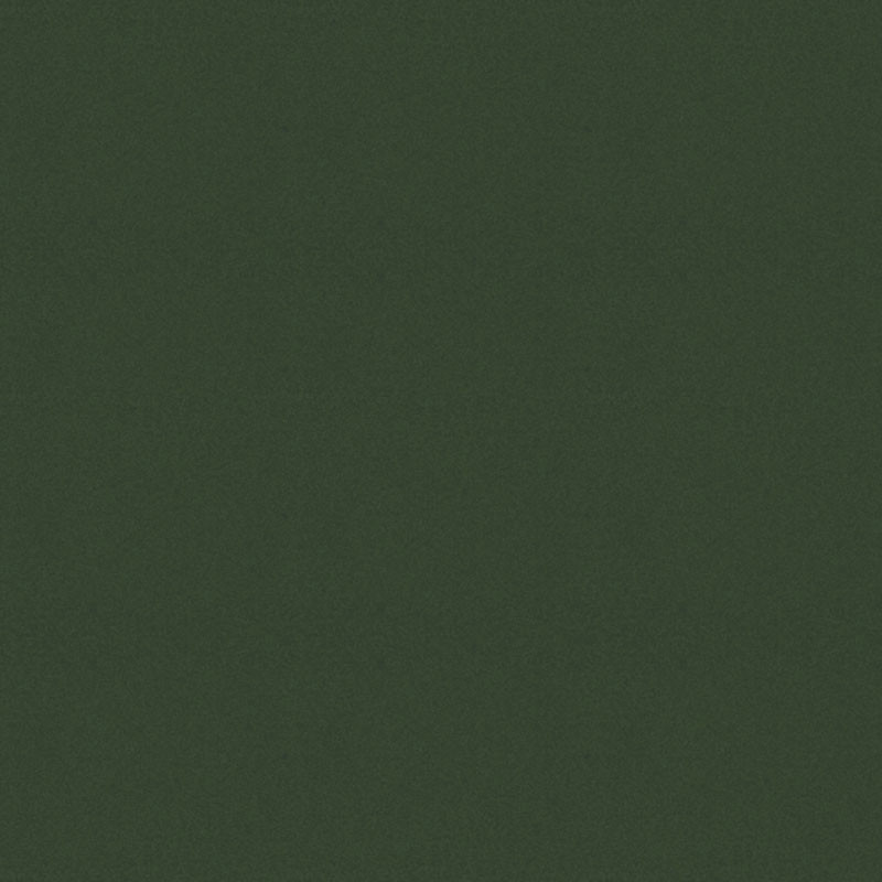 Nissan JW0, Yellowish Green Mica