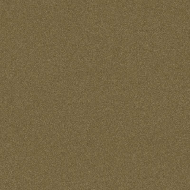 Toyota 4P3, Desert Bronze Metallic