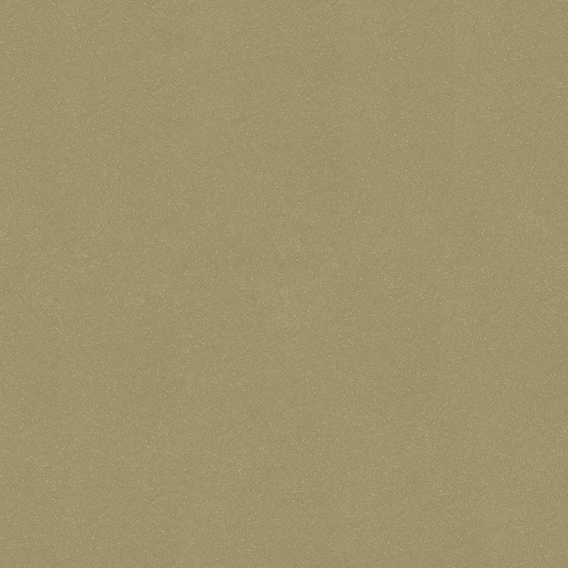 Nissan ES5, Timber Frost Metallic