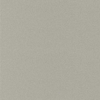 GM WA926L, Fine Silver Birch Metallic