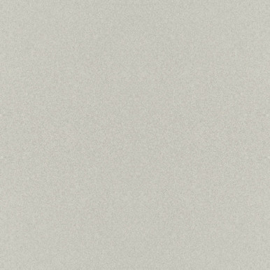 GM WA102V, Champagne Silver Metallic