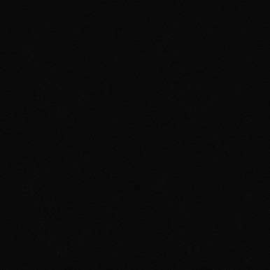 Ford G1 Paint Code - Absolute Black Pearl Touch-Up Paint