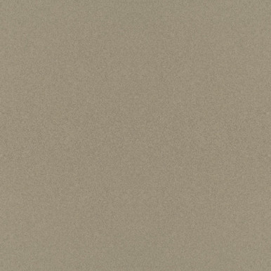 4Q2 Paint Code - Toyota Desert Sand Metallic Touch-Up Paint