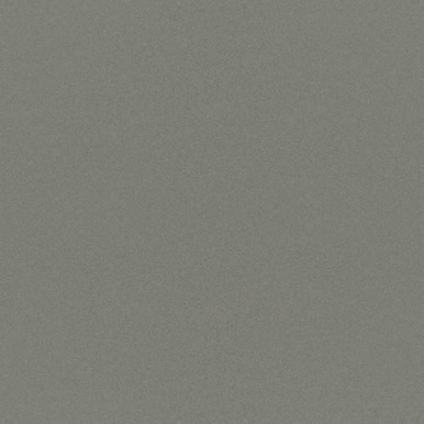 Toyota 199, Alpine Silver Metallic