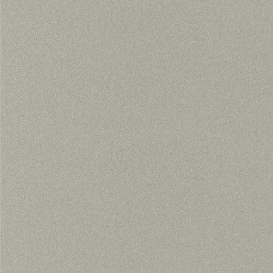 GM WA926L, Fine Silver Birch Metallic