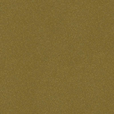 Ford T2, Bronze Metallic