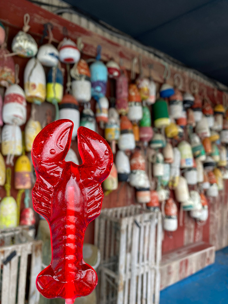 Extra Large Jumbo Red Lobster Lollipop
