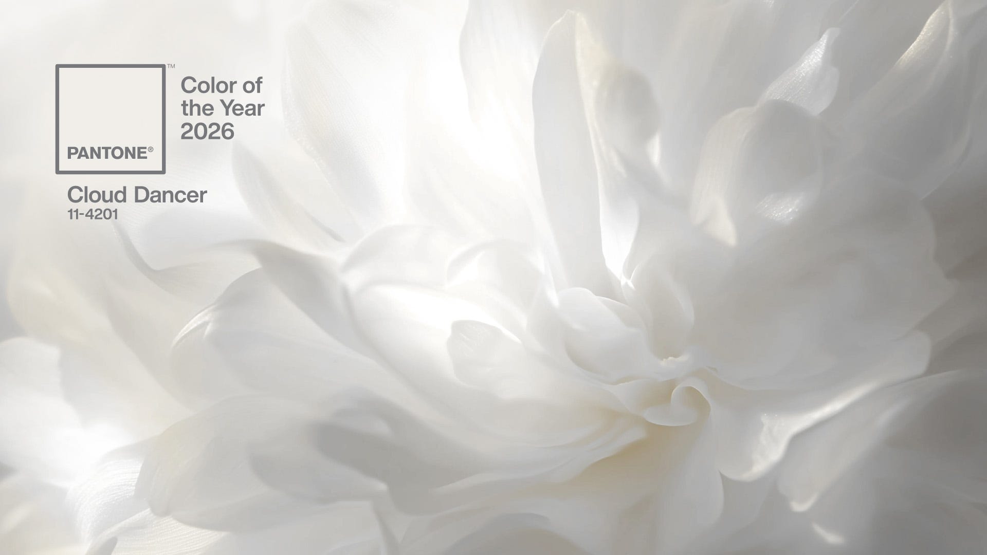 Pantone's Cloud Dancer - the Perfect Neutral for Hospitality or a ...