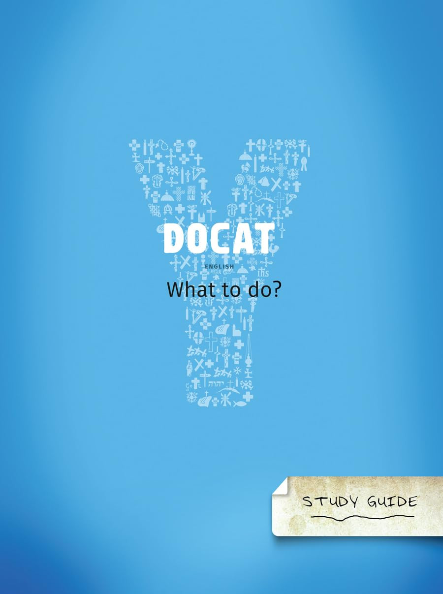 DOCAT Study Guide | Ignatius Book Fairs