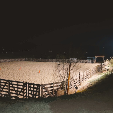 Standard Panel Arena