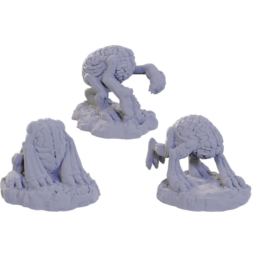 Dungeons & Dragons Nolzur's Marvelous Miniatures: W22 Intellect ...