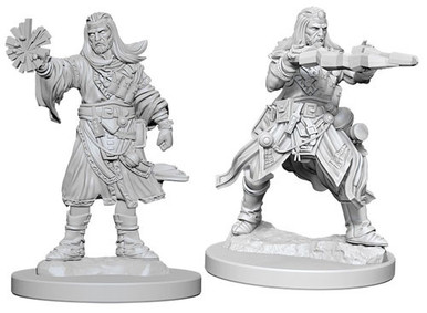 Pathfinder Deep Cuts Unpainted Miniatures: Male Human Wizard - One Eyed ...