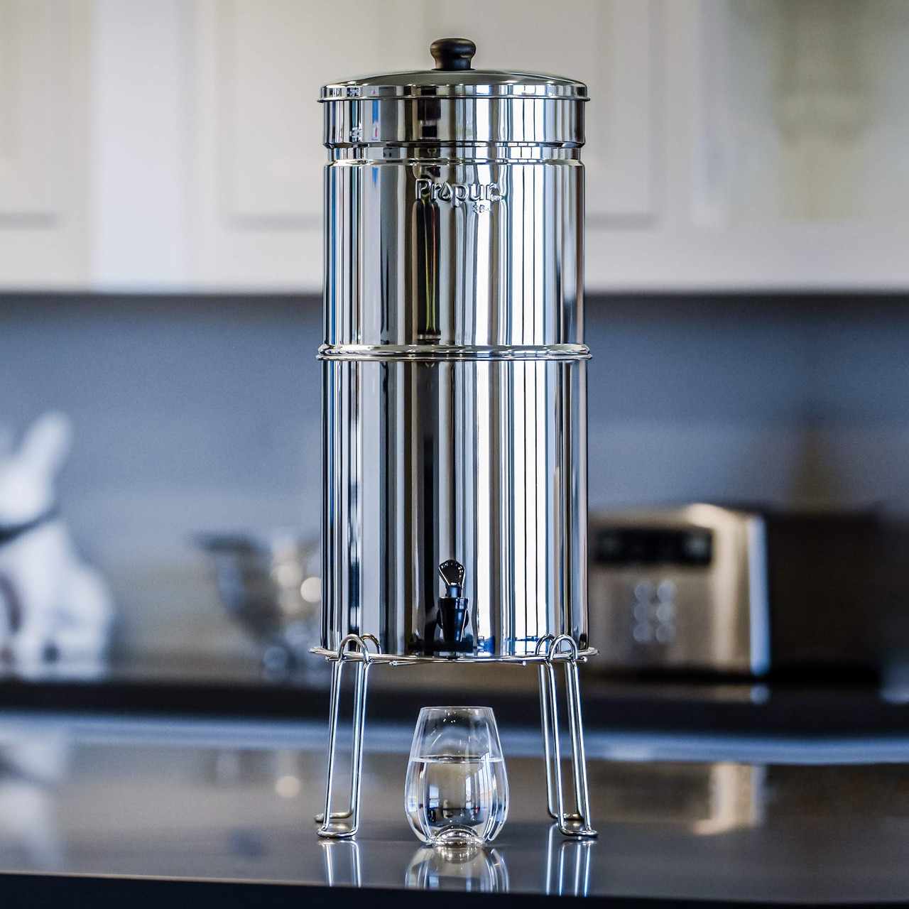 Propur ProOne 5-inch Replacement Filters for Propur Traveler or Nomad ...