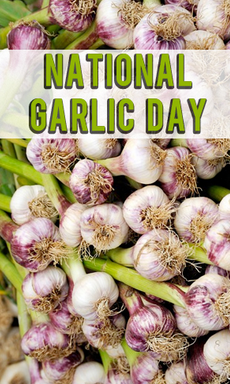 Celebrate National Garlic Day with Hermann Wurst Haus Garlic Brats ...