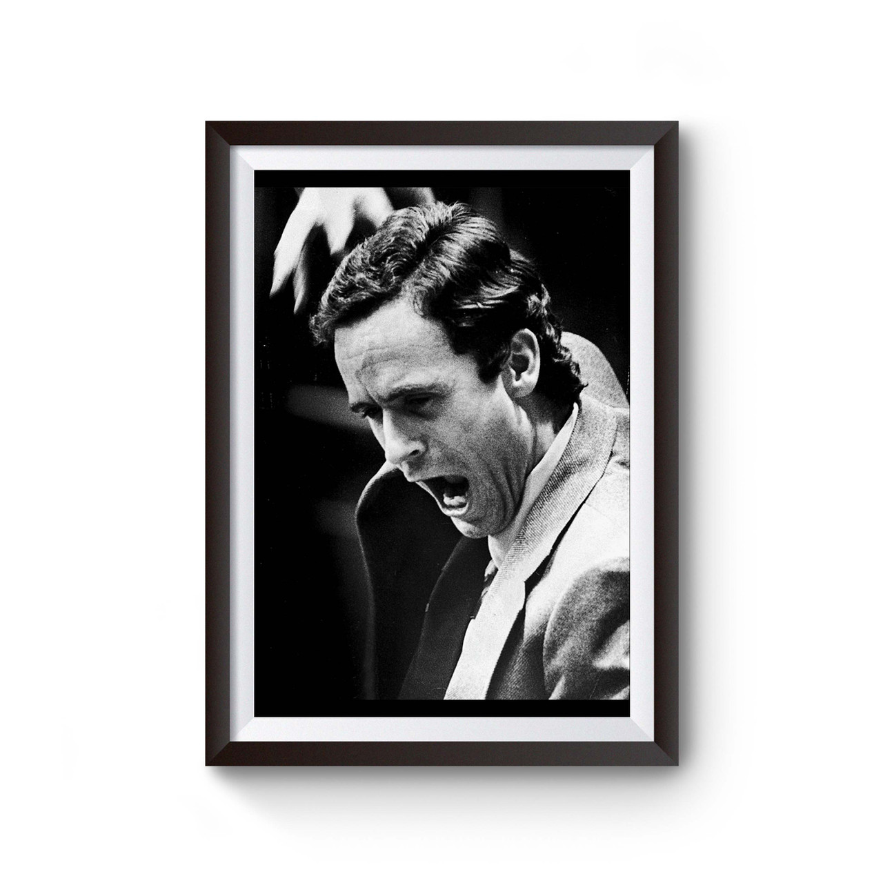 Ted Bundy Poster