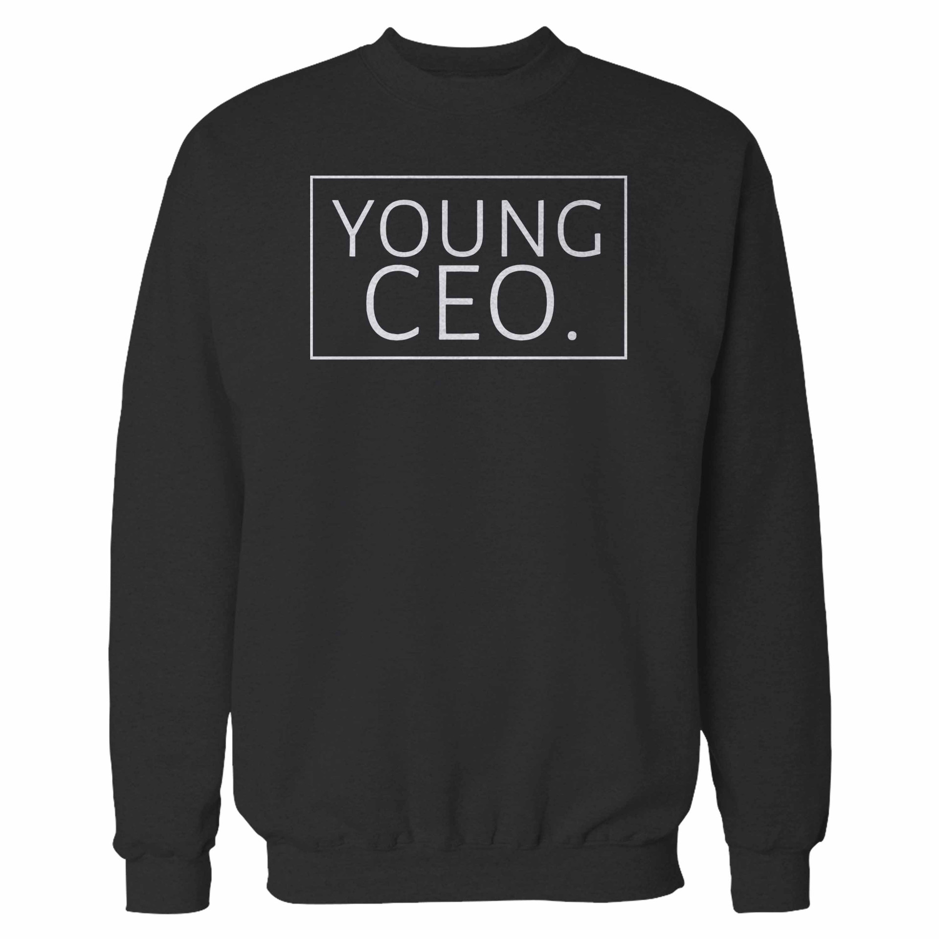 Young Ceo Poster