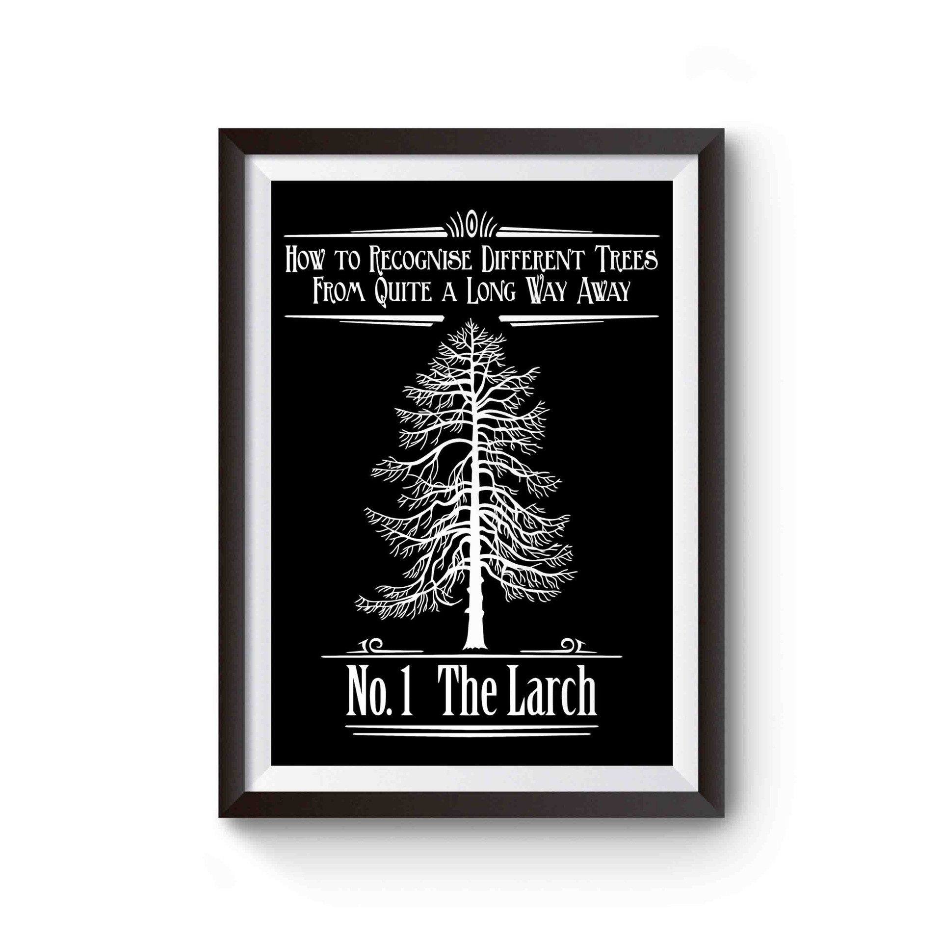 Tis But A Scratch Monty Python And The Holy Grail Poster