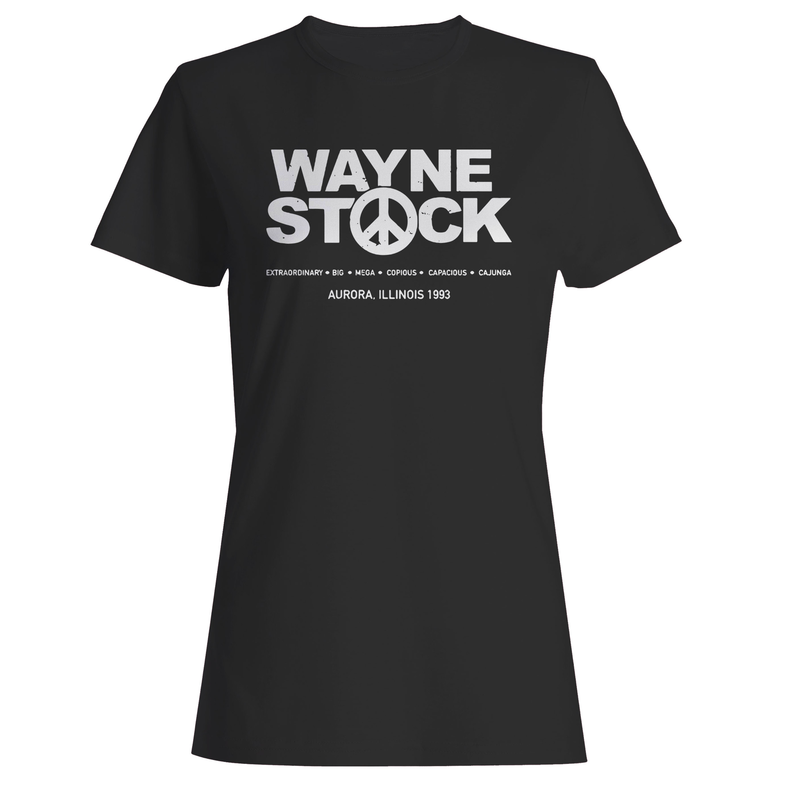 Waynestock Funny 90s Movie Waynes World Inspired Poster