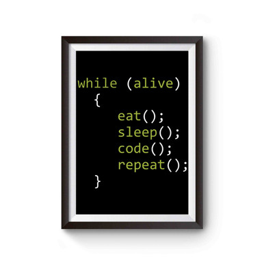 While Alive Eat Sleep Code Repeat Poster