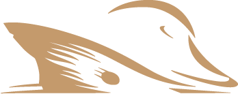 Prodigy Logo (small) - Prodigy Boats