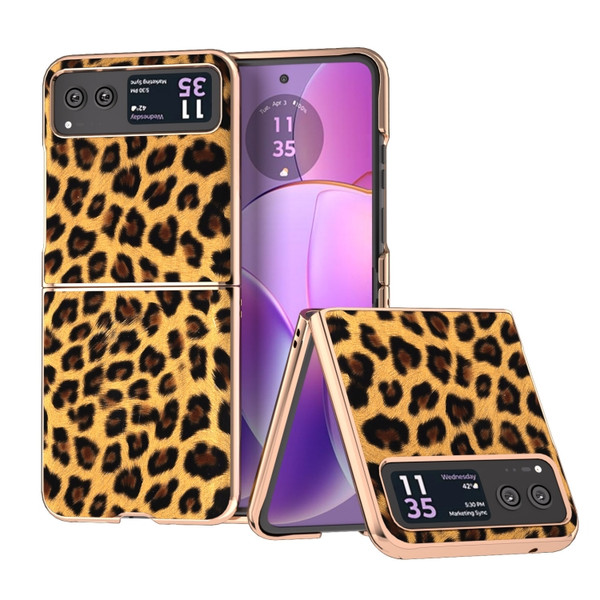 Motorola Cases - Motorola razr (2023) Cases Leopard Gold