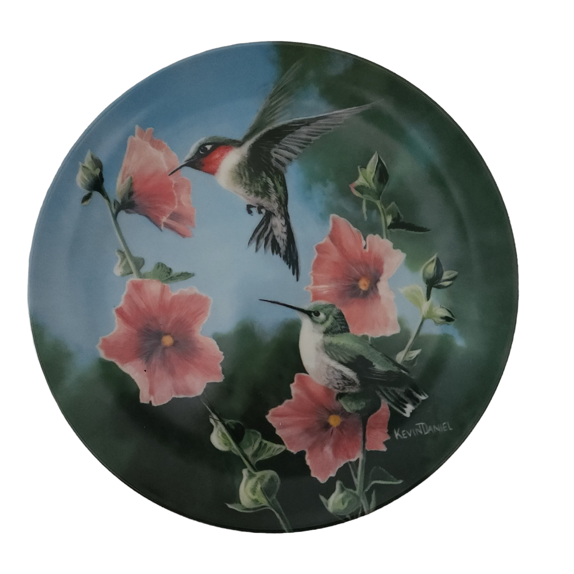 Edwin Knowles Encyclopedia Britannica Birds The Hummingbird Plate No Box