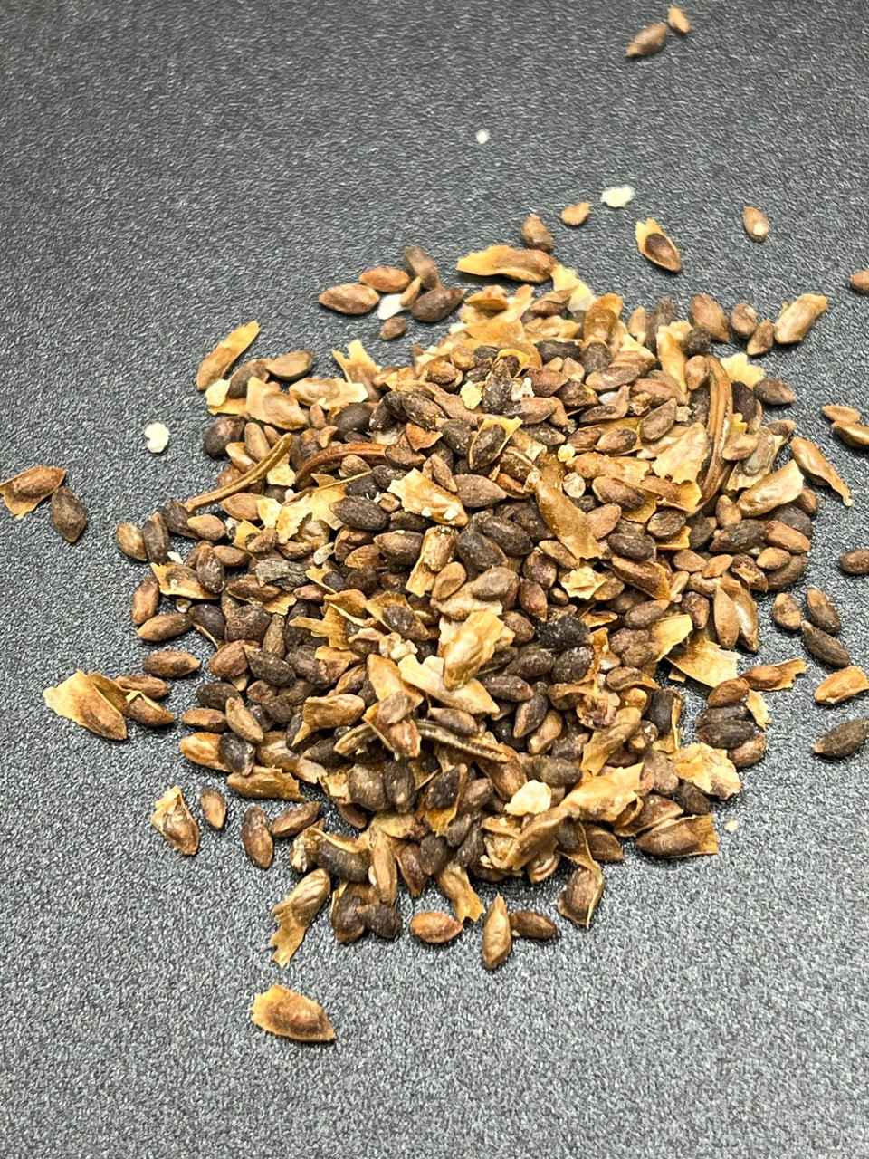 White Spruce Seeds (picea glauca) - Black Hill Woods