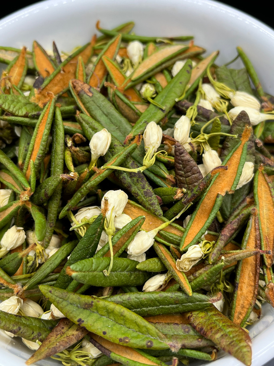 Jasmine Labrador Tea - Black Hill Woods