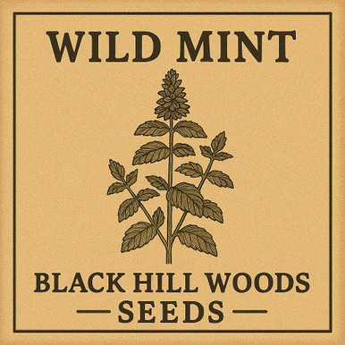 Wild Mint Seeds - (mentha arvensis) - Black Hill Woods