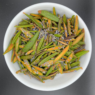 Lavender Labrador Tea "Blue Labrador" - Black Hill Woods