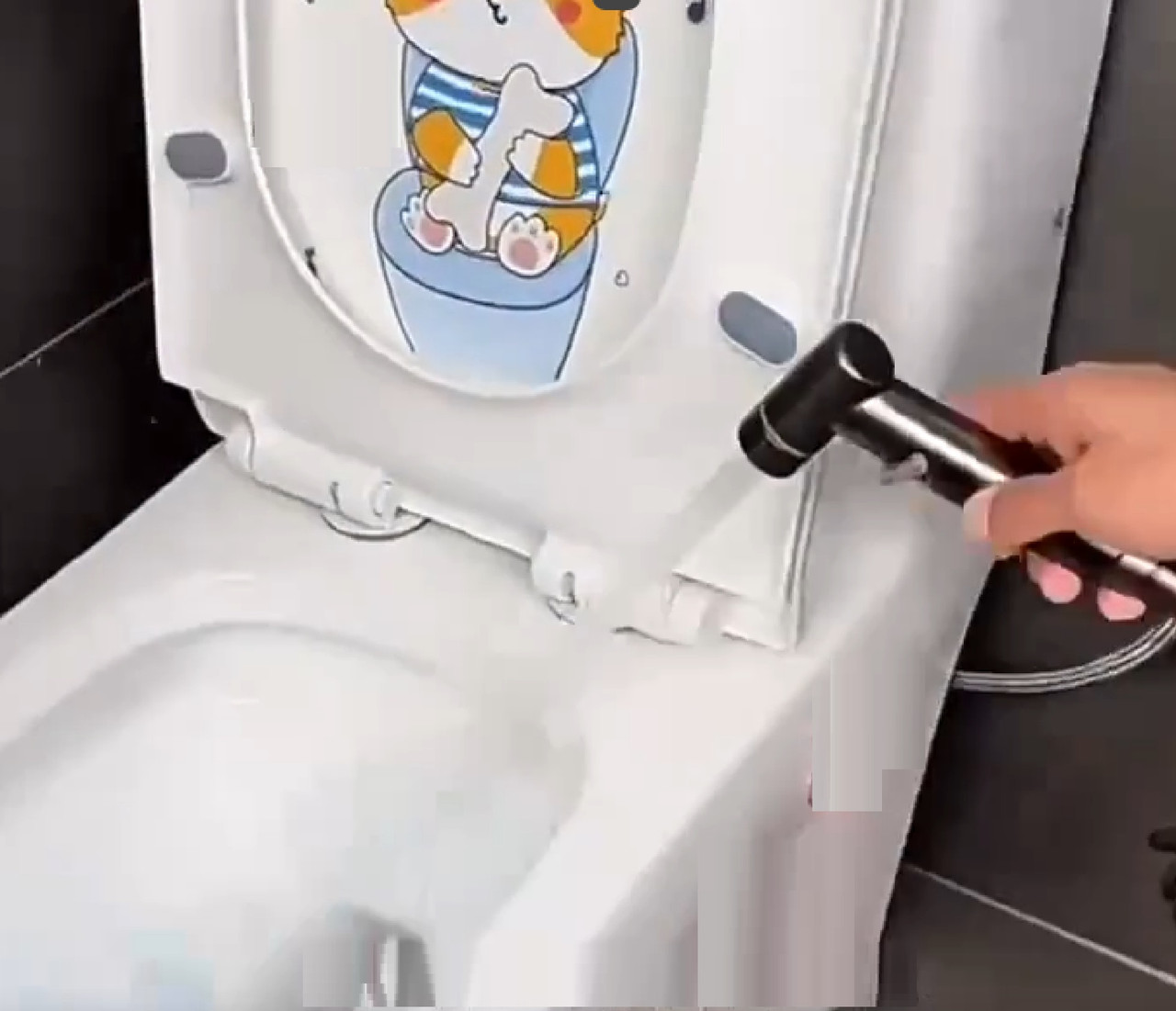 Handheld Bidet Sprayer Set