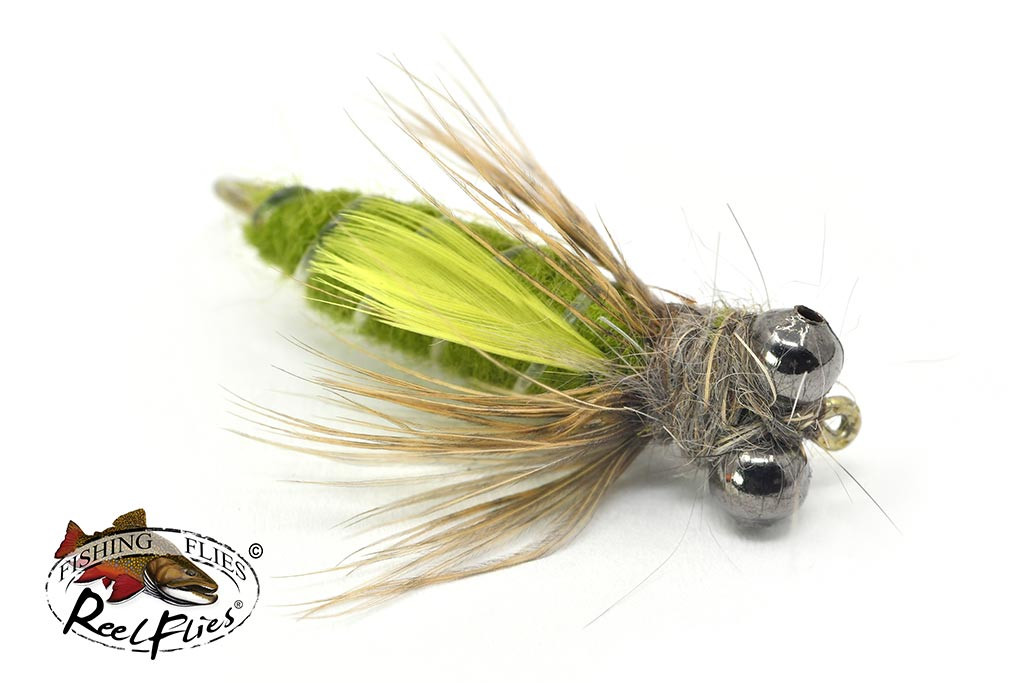 Fat Dragon Nymph Fly From Reelflies