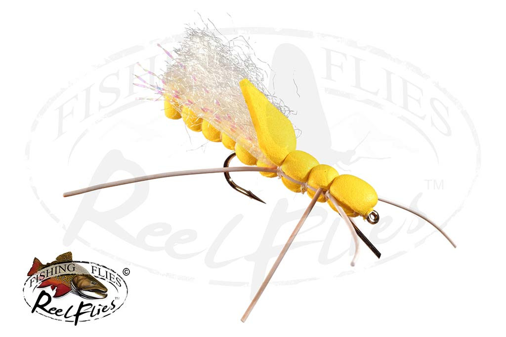 Foam Flies and Terrestrial Dry flies for fly fishing | ReelFlies
