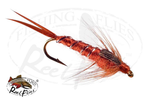Early Brown Stone Nymph