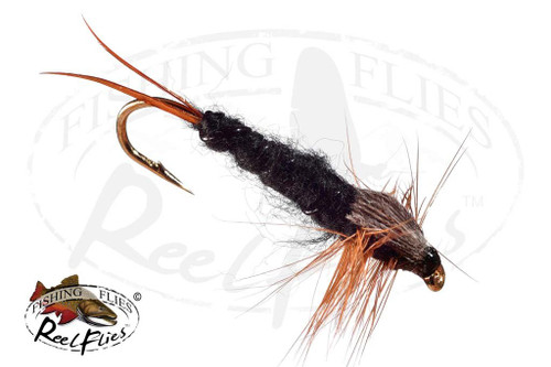 Stonefly Nymphs and Stone Flies - ReelFlies