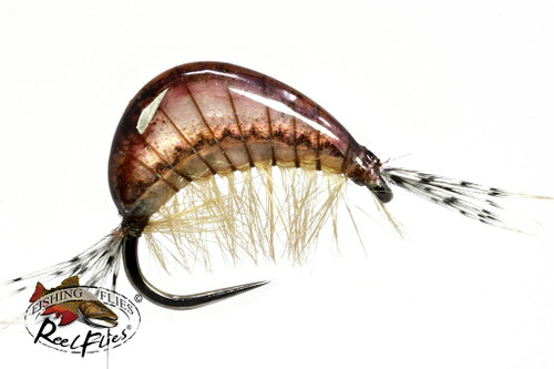 Realistic Trout Flies | ReelFlies