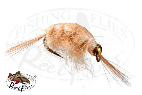 Beadhead Flashback Scud Orange