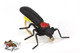 Realistic Scud Fly | ReelFlies