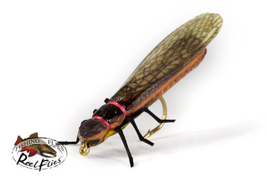 Ultra Realistic Salmonfly Stonefly | ReelFlies
